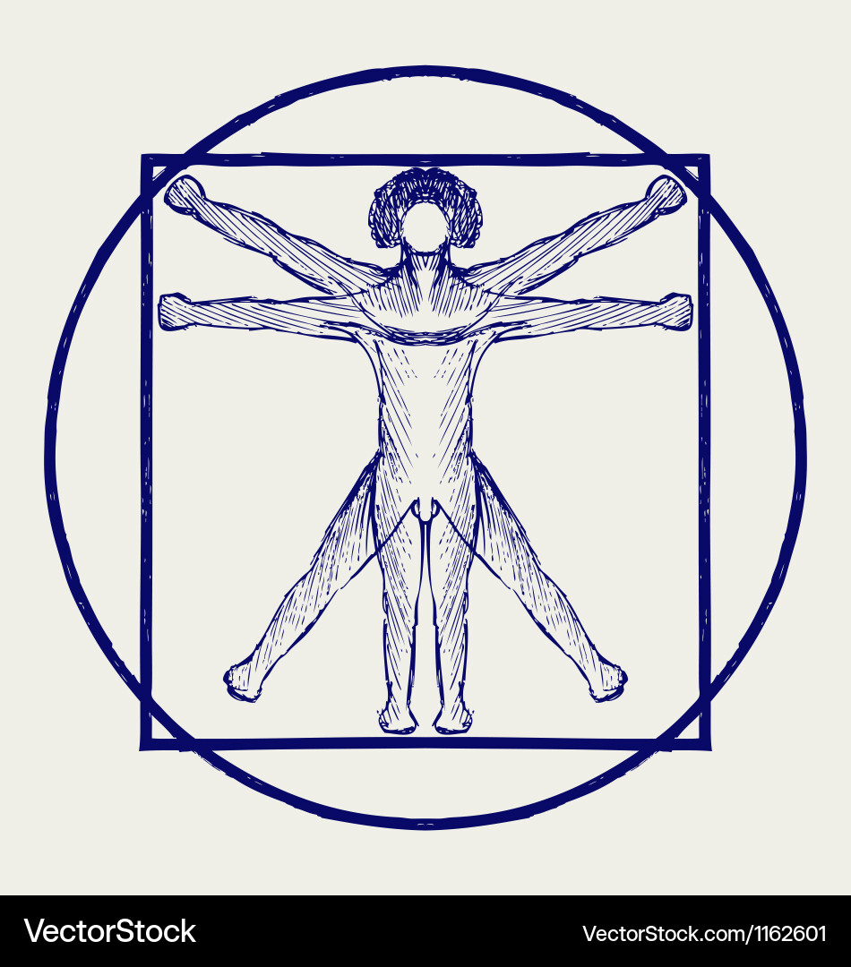 Vitruvian man Royalty Free Vector Image - VectorStock