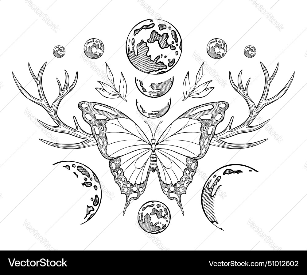 Butterfly with moons and deer horns Royalty Free Vector