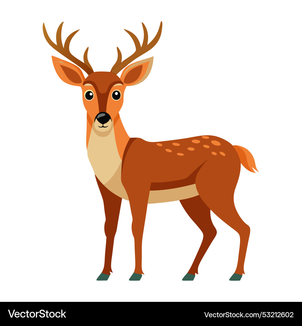 Cute deer Royalty Free Vector Image - VectorStock