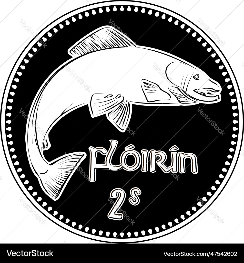 Irish money pre-decimal silver florin coin Vector Image