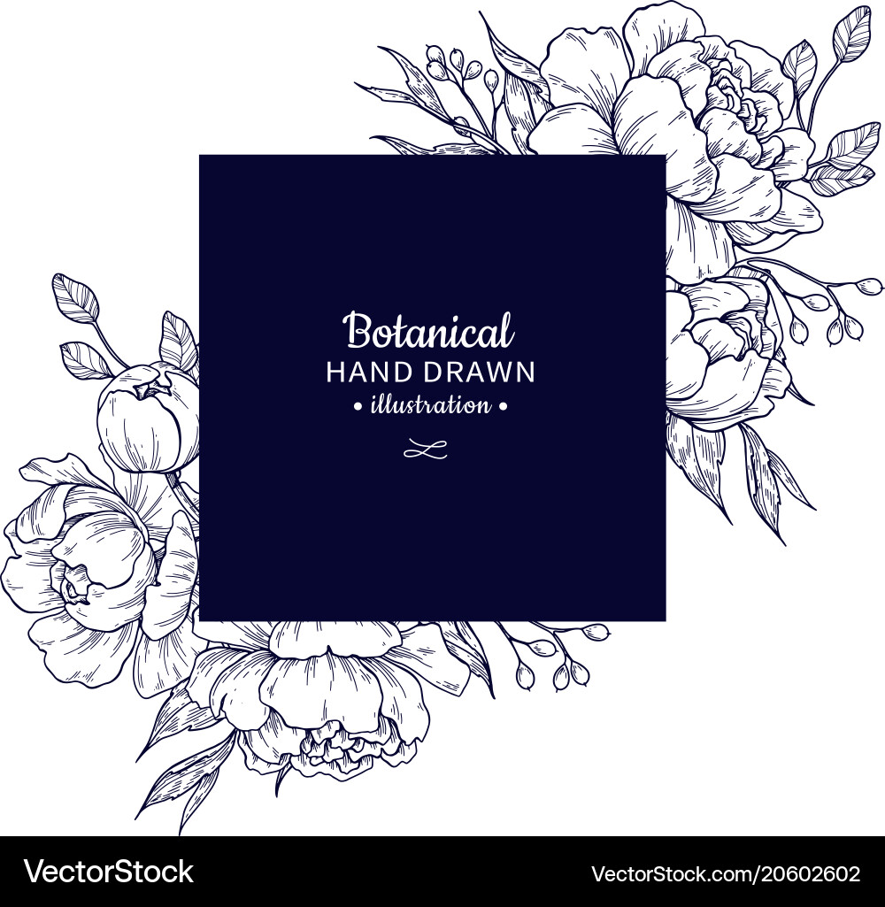 Vintage flower square frame drawing peony Vector Image