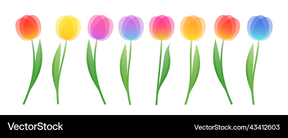 Set of colorful stylized tulips Royalty Free Vector Image