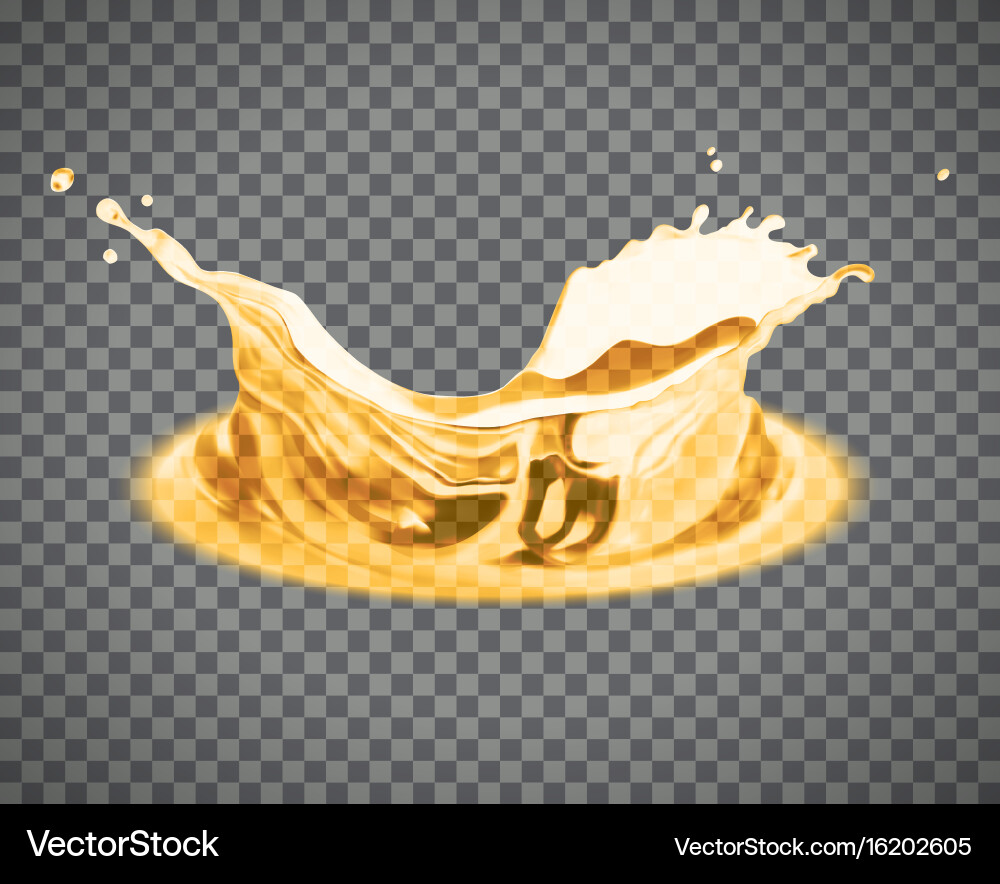 Beer splash isolated on light background Vector Image