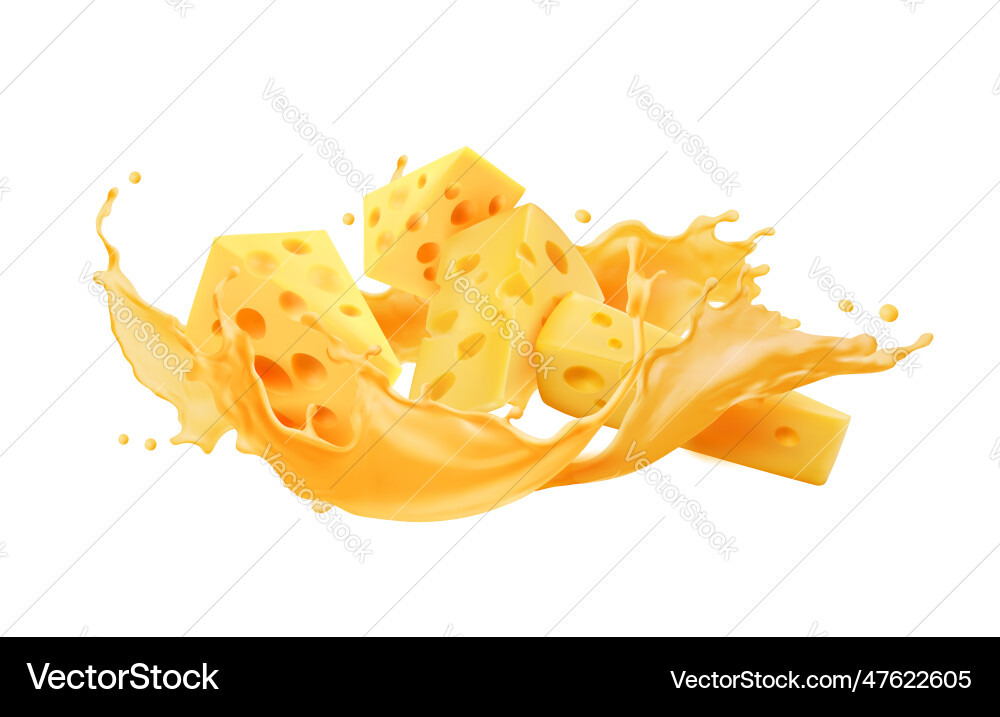 Drip and melt cheese with splash isolated Vector Image