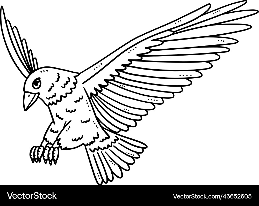 Flying eagle isolated coloring page Royalty Free Vector