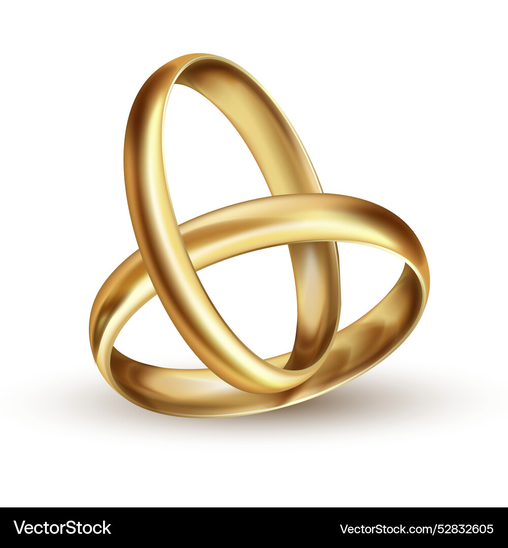 Gold wedding rings intertwined on a white Vector Image
