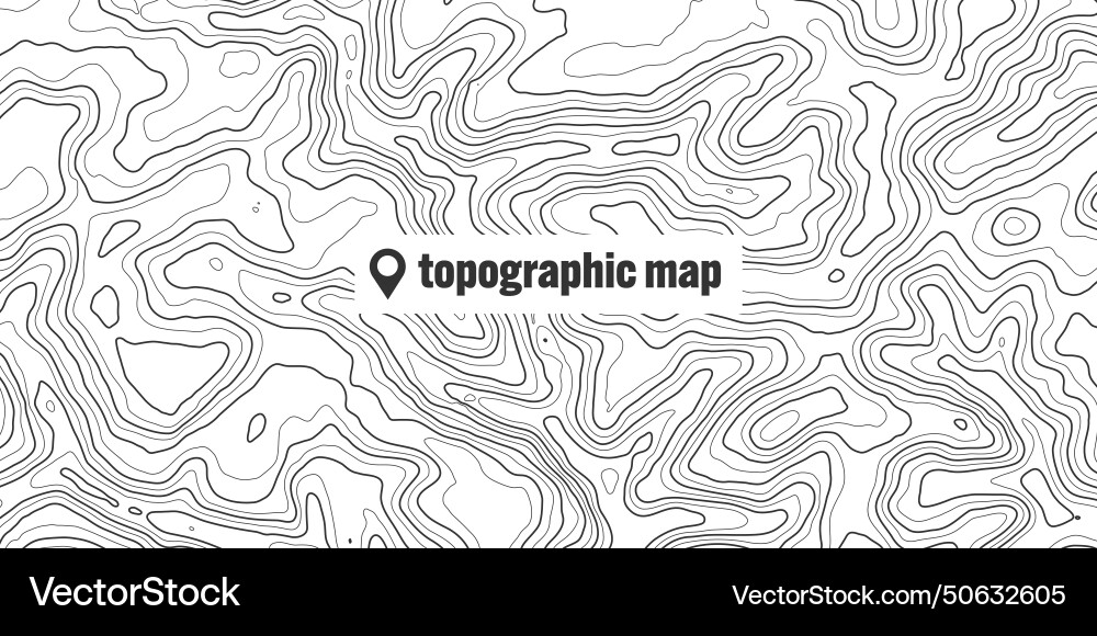 Topographic map with contour lines geographic Vector Image