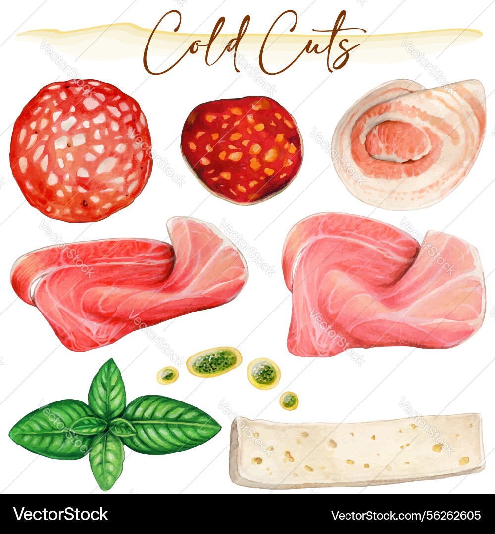 Watercolor hand drawn cold cuts and condiments Vector Image