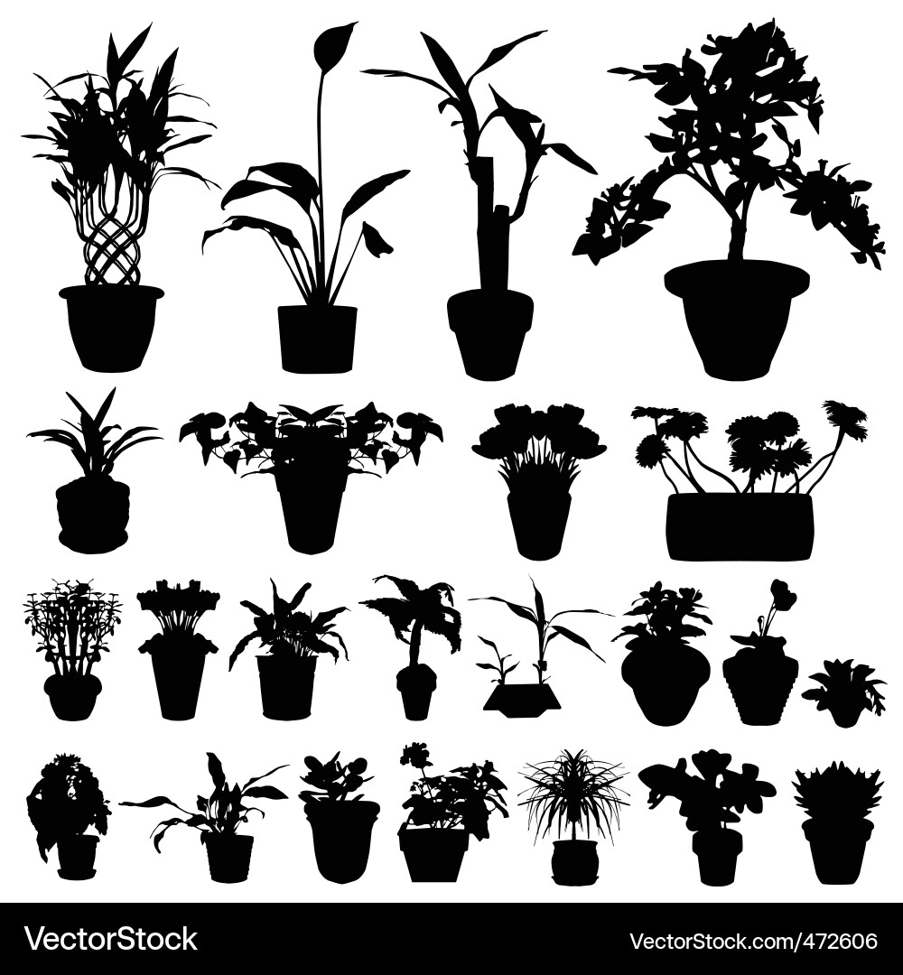 Flower design Royalty Free Vector Image - VectorStock