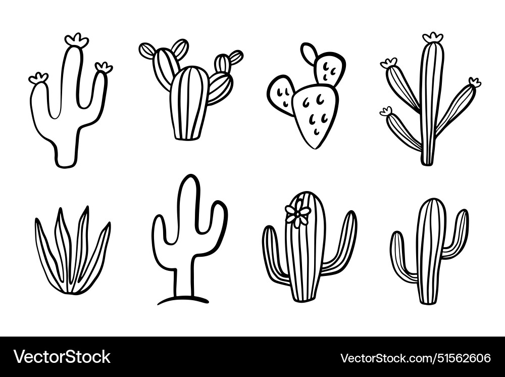 Hand drawn cacti doodles set cute cactus sketch Vector Image