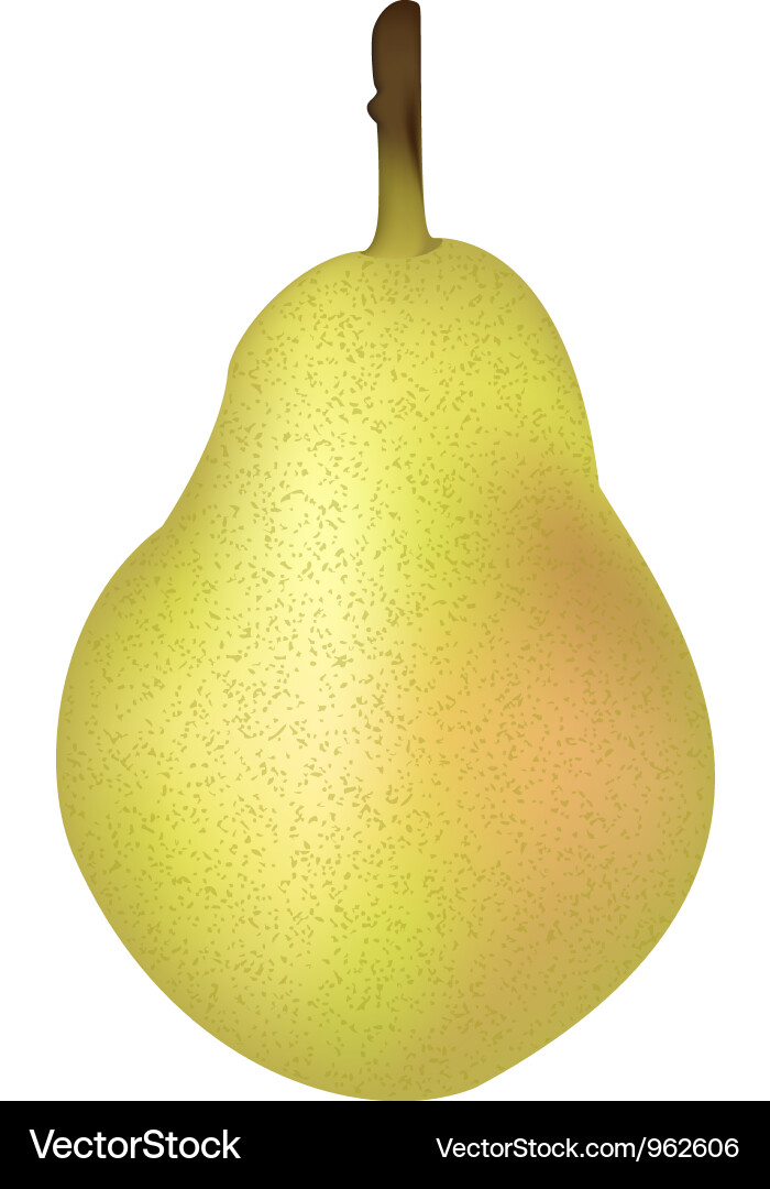 Pear Royalty Free Vector Image - VectorStock