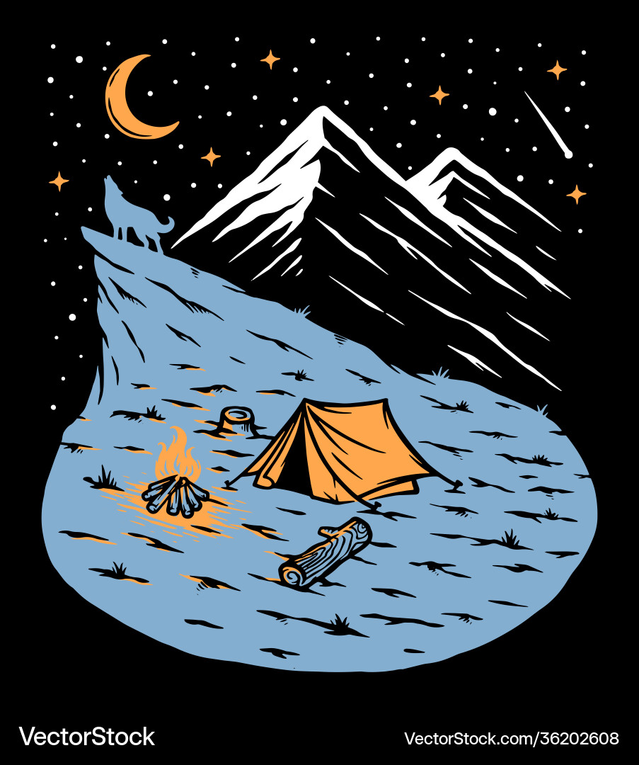 Camping in wild at night Royalty Free Vector Image