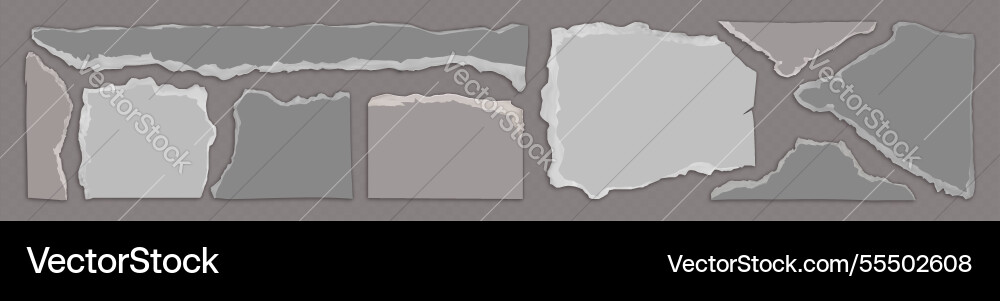 Paper cut edges set with torn irregular shapes Vector Image