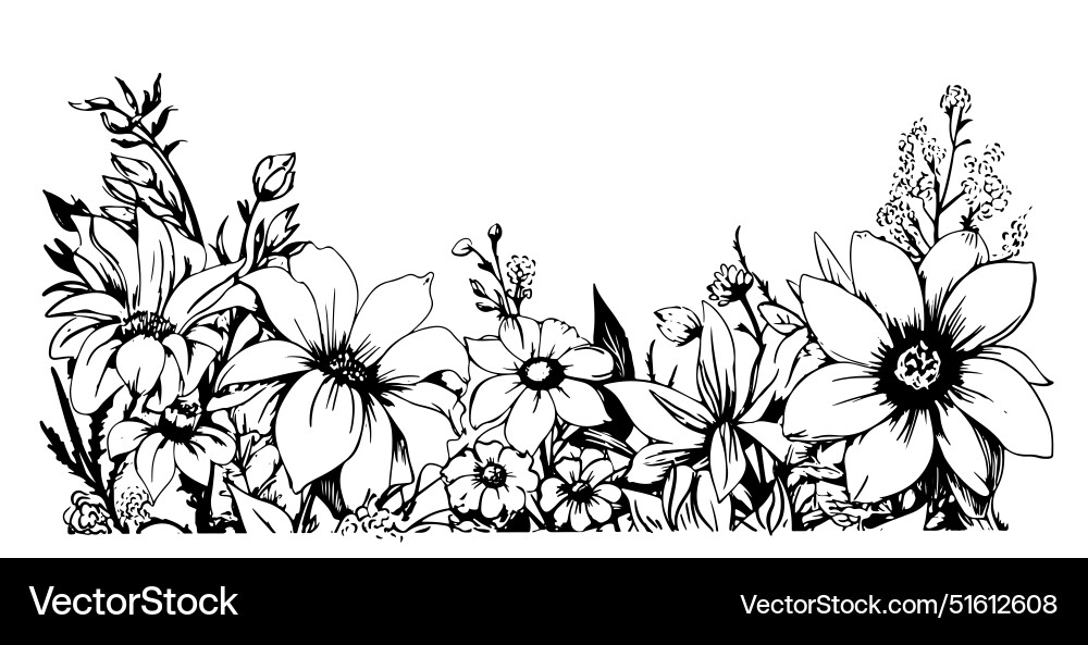 Wild flower field border hand drawn sketch Vector Image