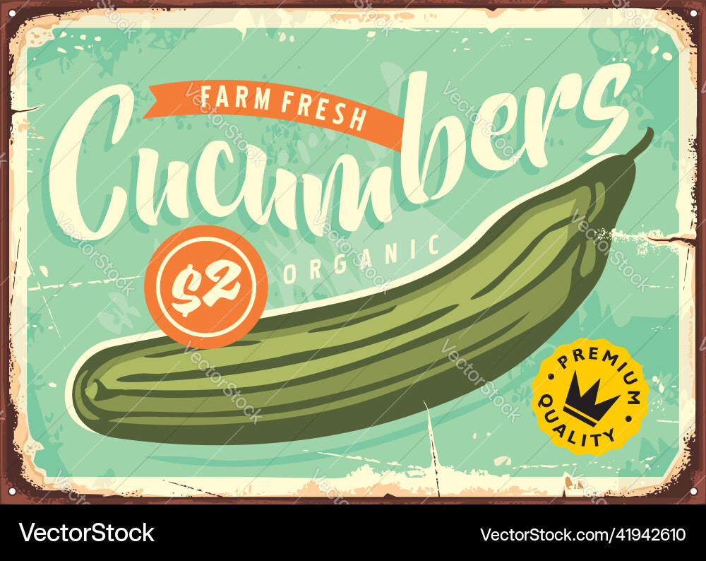 Cucumbers Royalty Free Vector Image - VectorStock