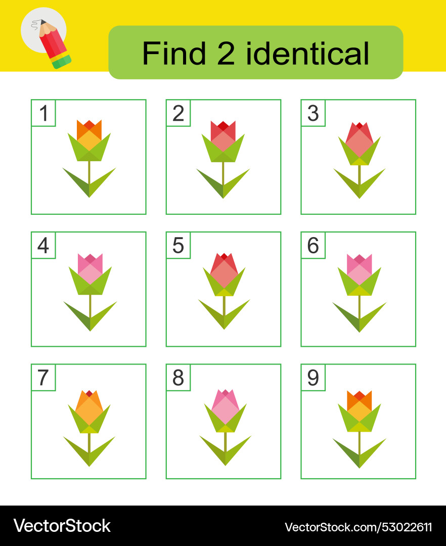 Fun puzzle game find two identical flowers Vector Image