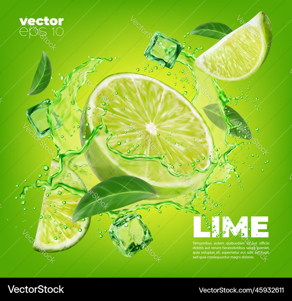Lime fruit slice leaves and green juice splash Vector Image