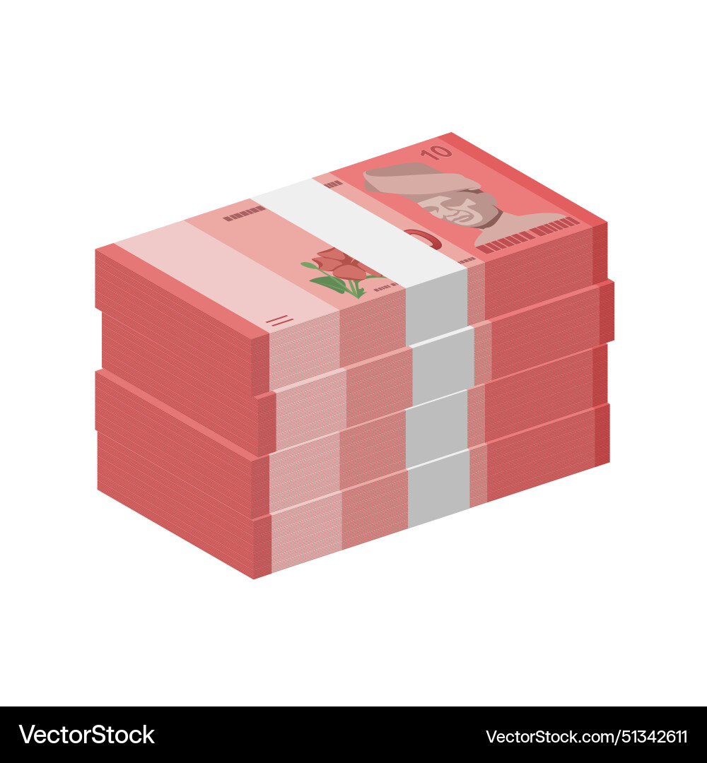 Malaysia ringgit bundle banknotes money stack Vector Image