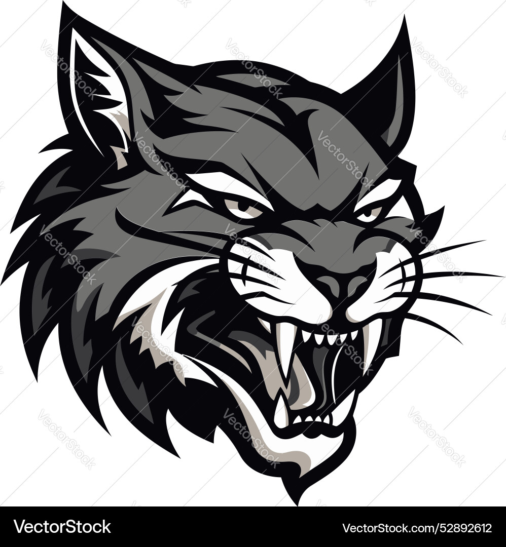 Bobcat a wild predator animal bobcat design a Vector Image