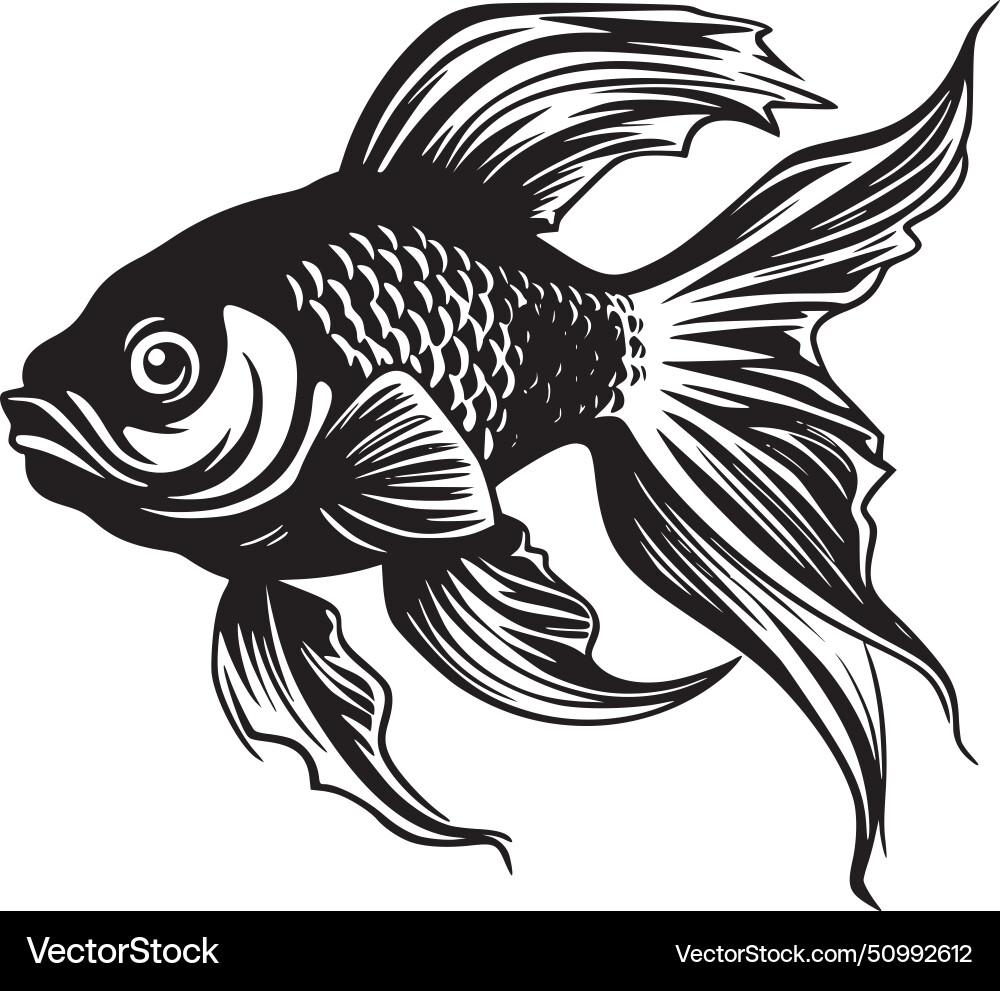 Goldfish - black and white isolated icon Vector Image