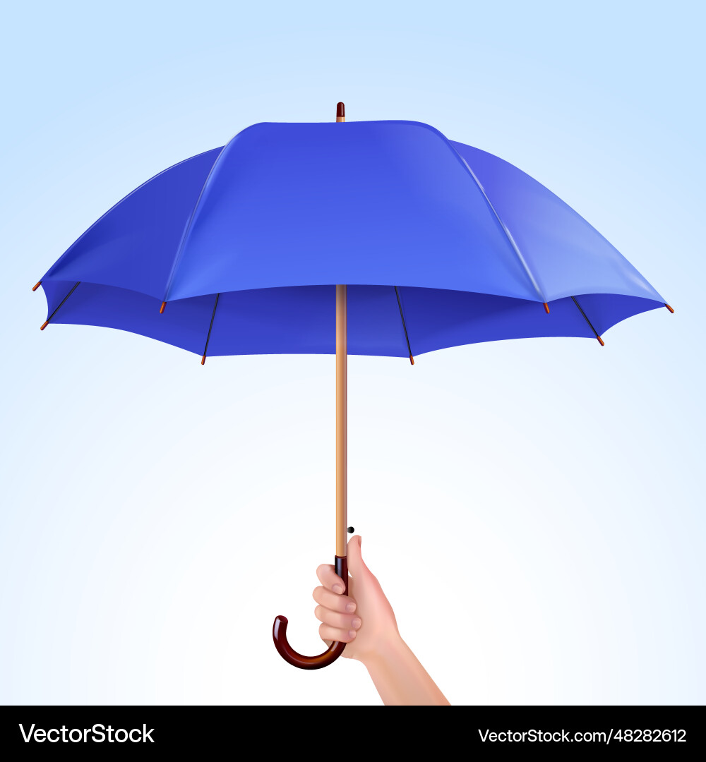 Hand hold umbrella realistic umbel in hands man Vector Image