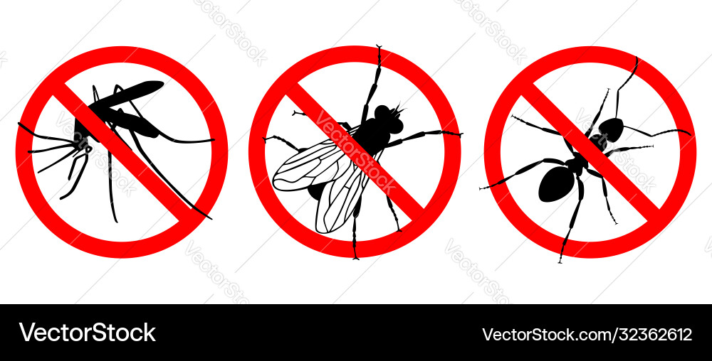 No insects Royalty Free Vector Image - VectorStock