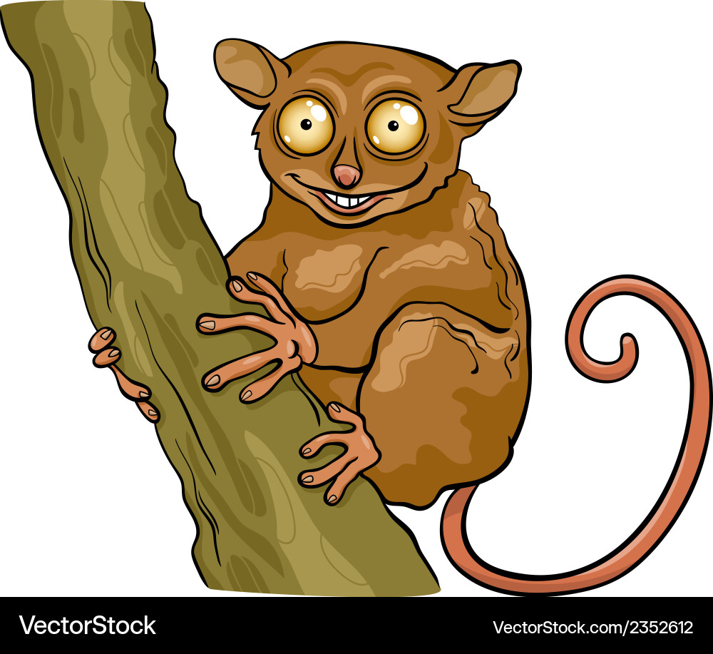 Tarsier animal cartoon Royalty Free Vector Image
