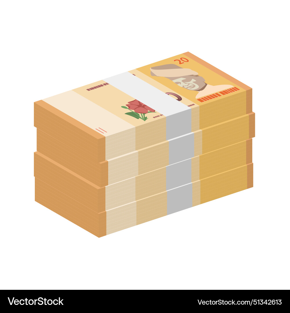 Malaysia ringgit bundle banknotes money stack Vector Image