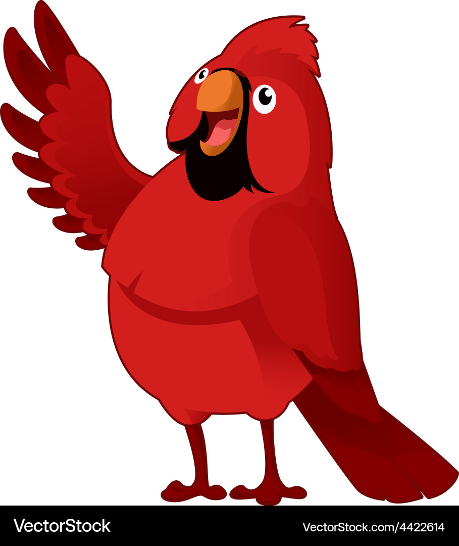 Cardinal Royalty Free Vector Image - VectorStock