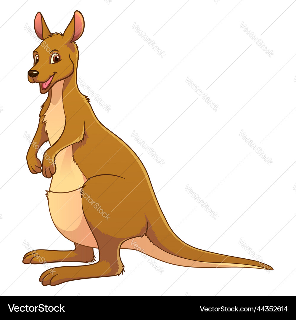Kangaroo Cartoon Images - Infoupdate.org