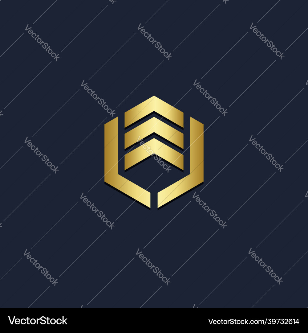 Shape liine polygon gold company logo Royalty Free Vector
