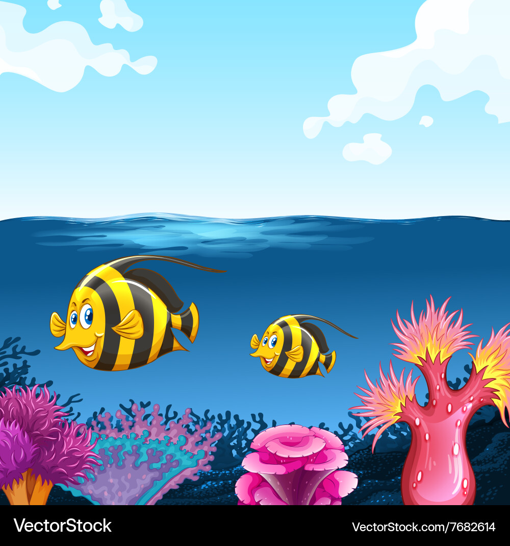 Two fish swimming under the sea Royalty Free Vector Image