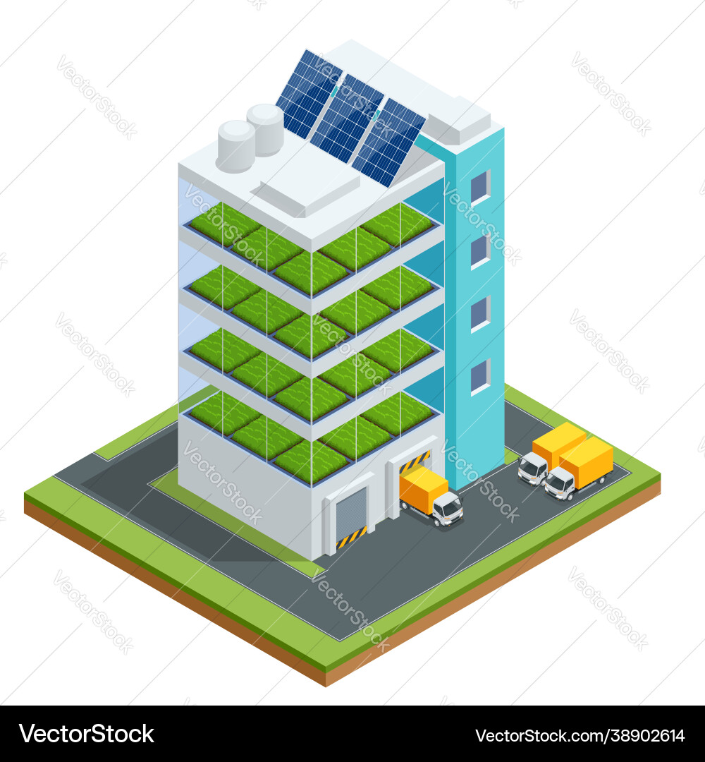 Vertical Hydroponic Farm Royalty Free Vector Image