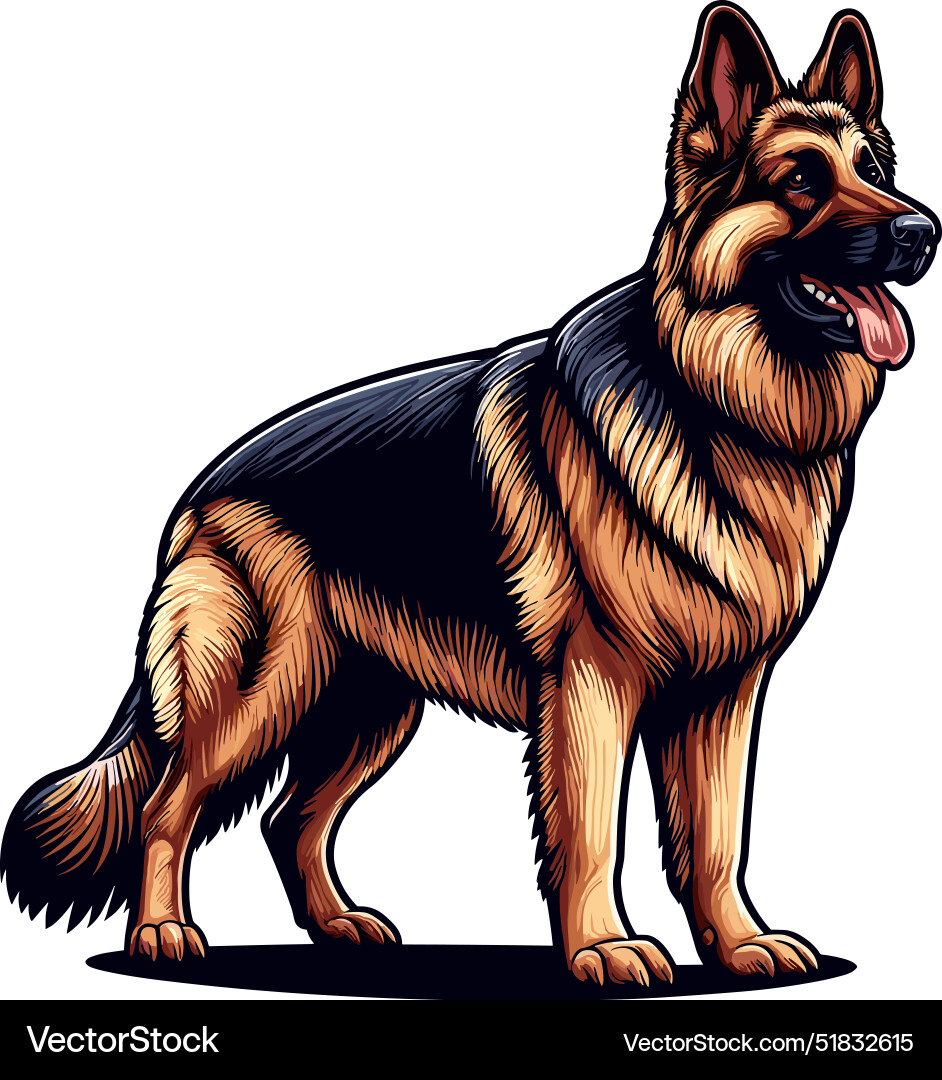 German shepherd majesty striking dog Royalty Free Vector