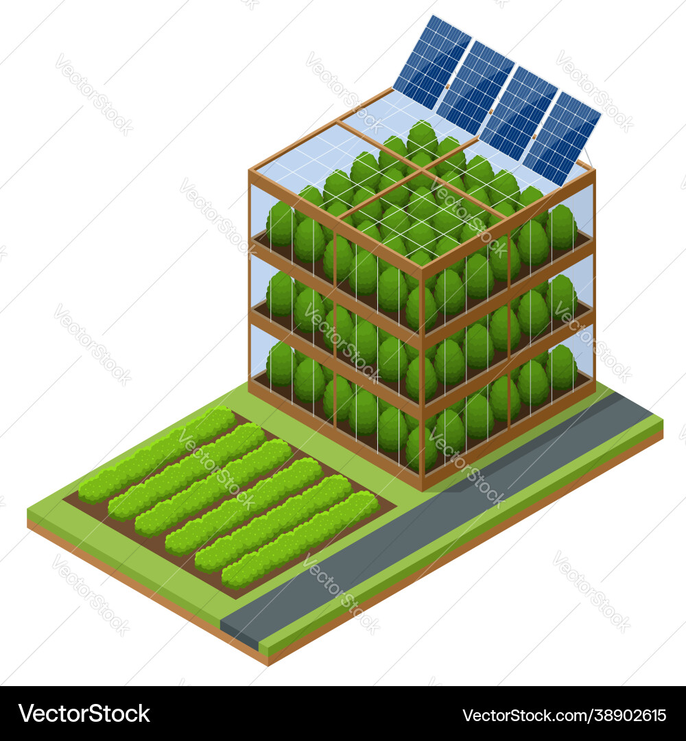 Isometric modern aeroponic hydroponics farm Vector Image