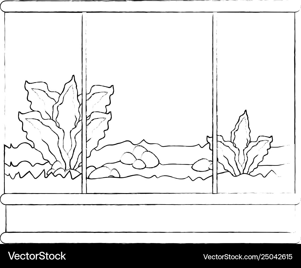 Square aquarium without fish icon Royalty Free Vector Image