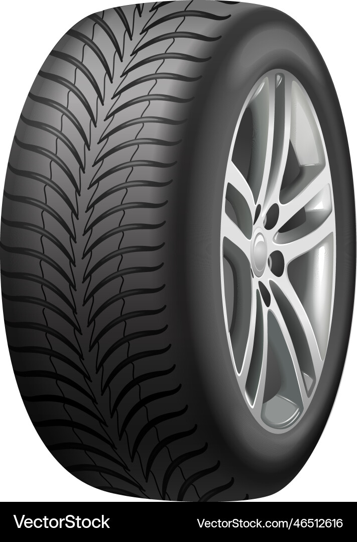 Realistic tyred wheel Royalty Free Vector Image