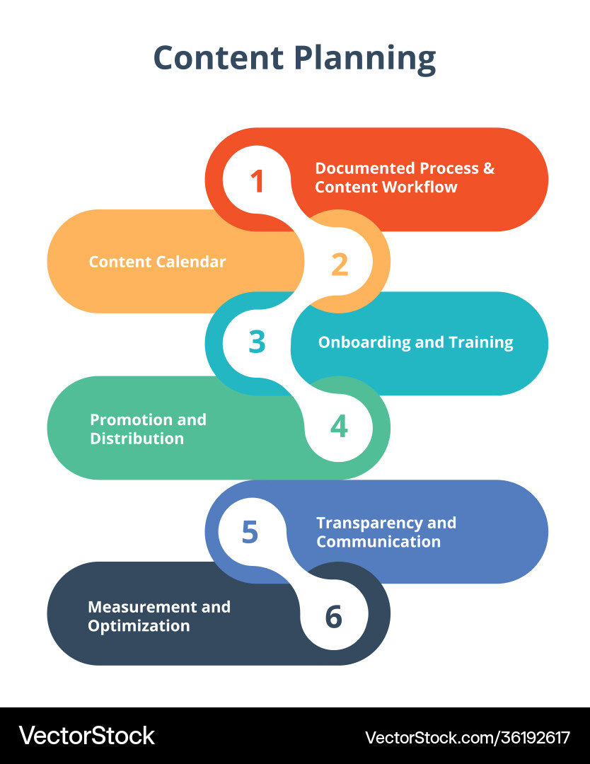 Content planning diagram infographic with flat Vector Image