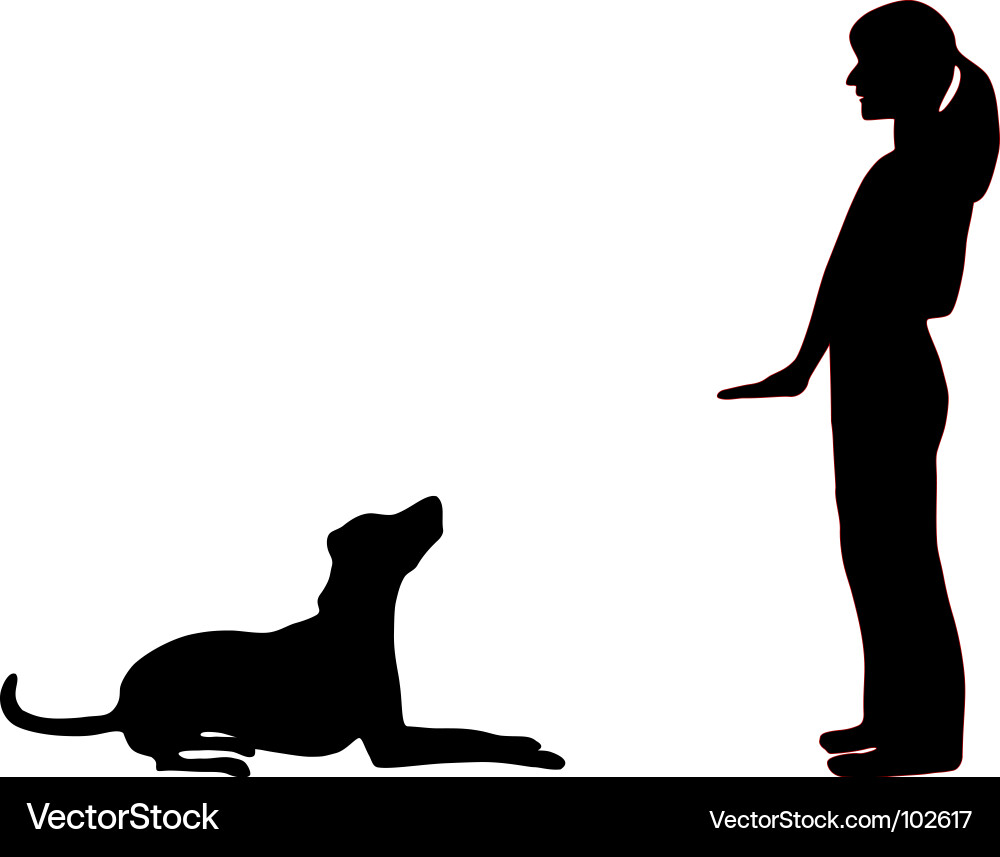 Dog training obedience Royalty Free Vector Image