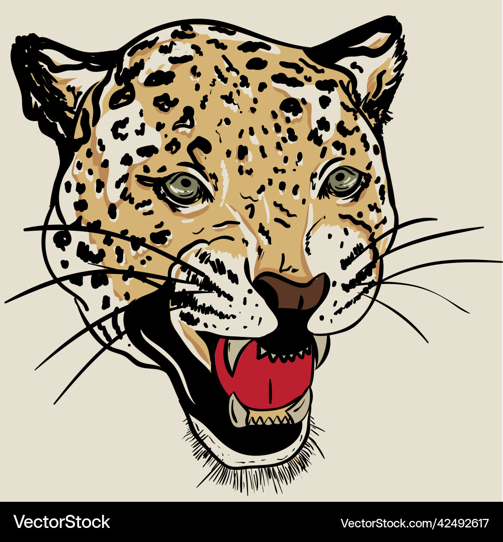 Leopard face print design Royalty Free Vector Image