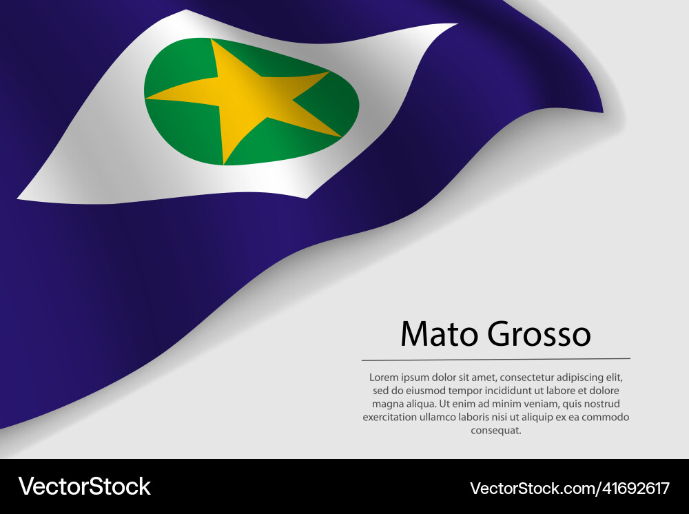 Mato Grosso State Flag Wave Royalty Free Vector Image