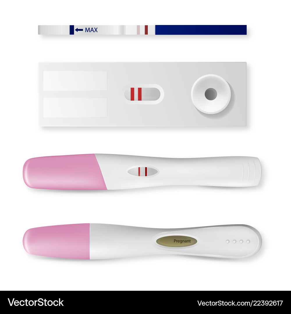 Realistic 3d pregnancy test with positive Vector Image