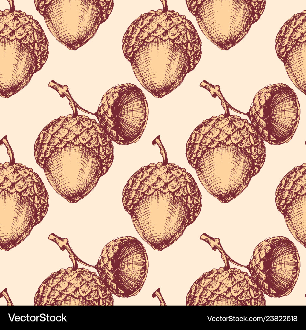 Acorn seamless pattern Royalty Free Vector Image
