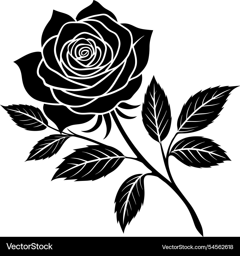 Elegant black rose Royalty Free Vector Image - VectorStock
