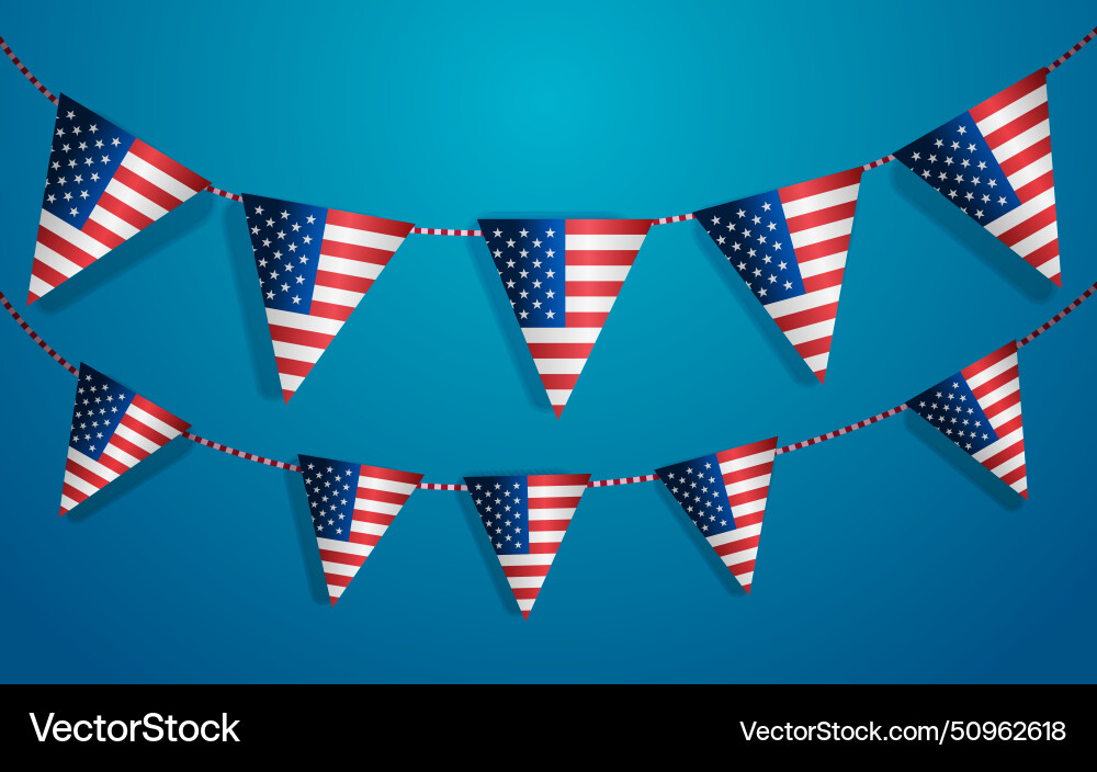 Triangle bunting flags in american national flag Vector Image