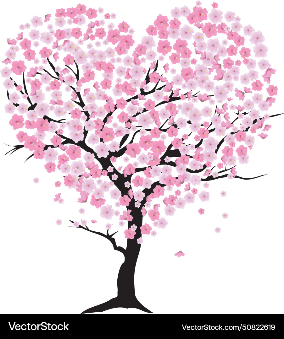 Cherry tree Royalty Free Vector Image - VectorStock
