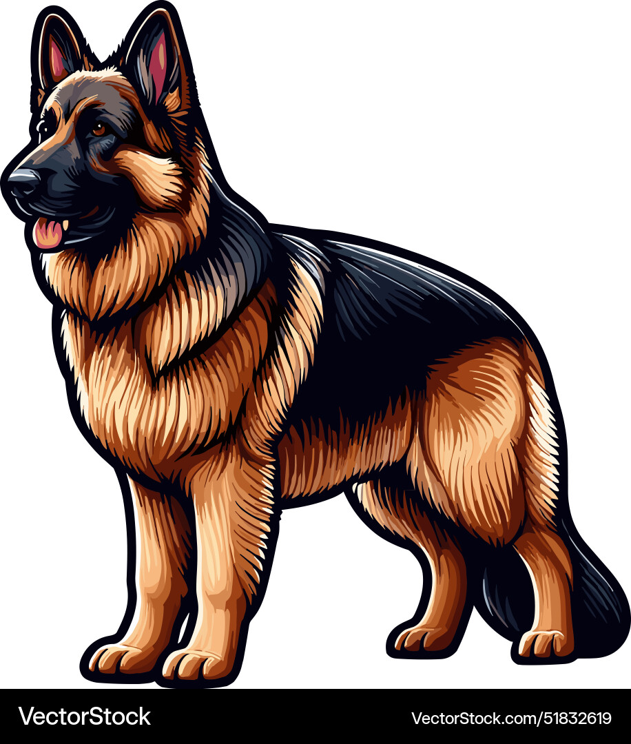 German shepherd majesty striking dog Royalty Free Vector