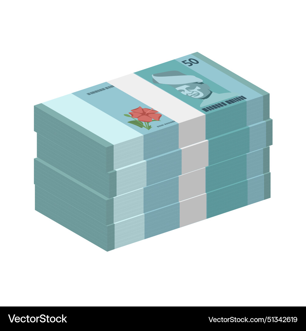 Malaysia ringgit bundle banknotes money stack Vector Image