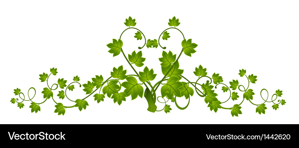 Ivy Frame Decoration Royalty Free Vector Image