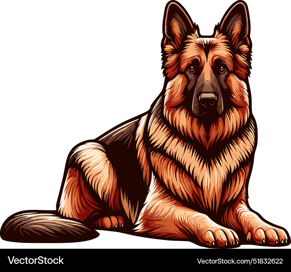 German shepherd majesty striking dog Royalty Free Vector